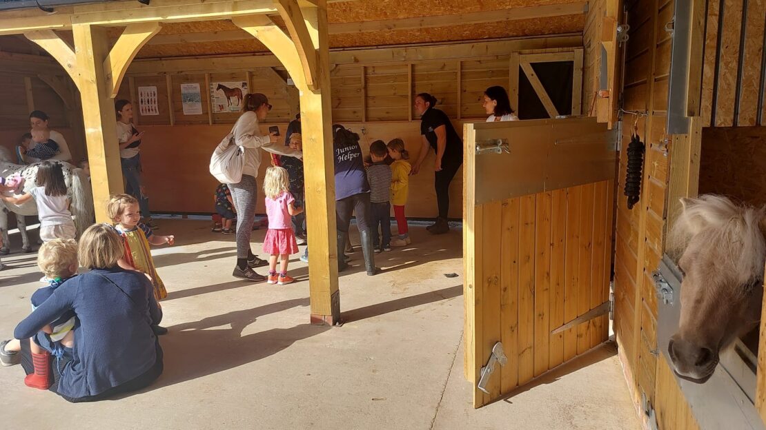 Gallery - Horse Riding Lessons in London