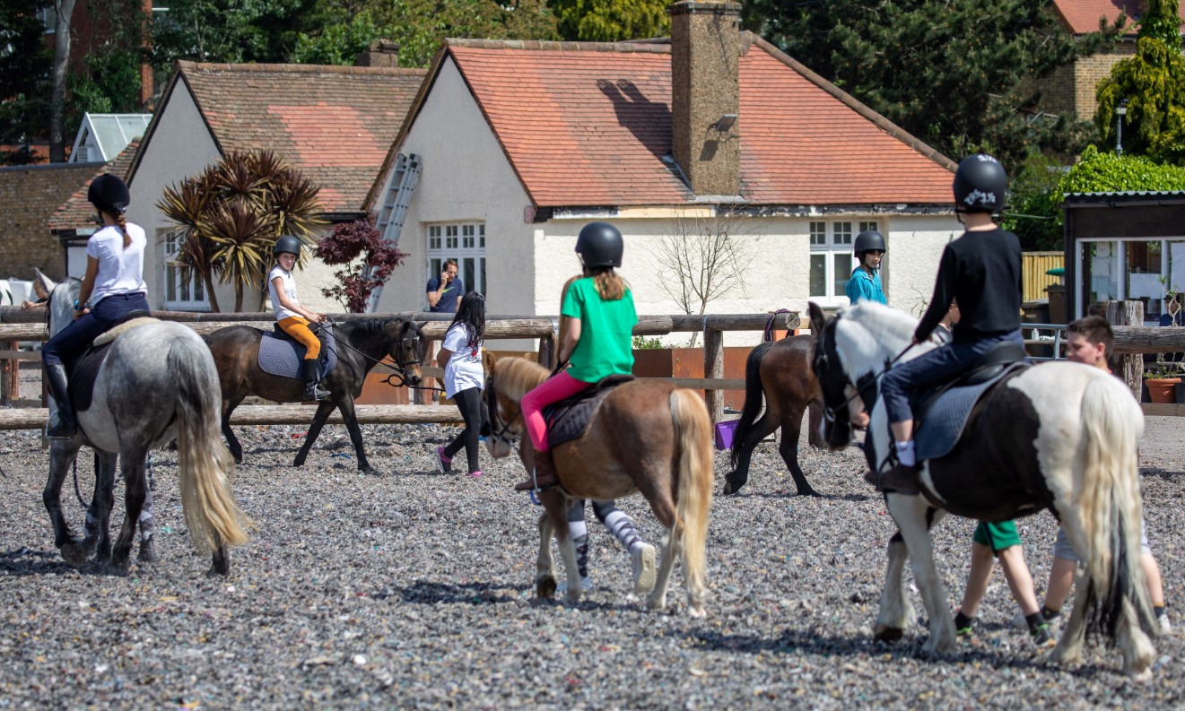 Gallery - Horse Riding Lessons in London