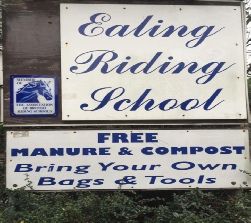 Home [www.ealingridingschool.biz]